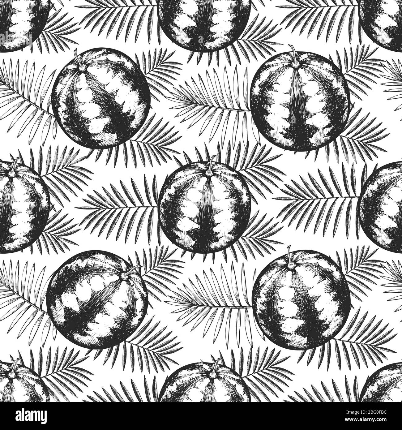 Tropical leaves banner template Black and White Stock Photos & Images ...