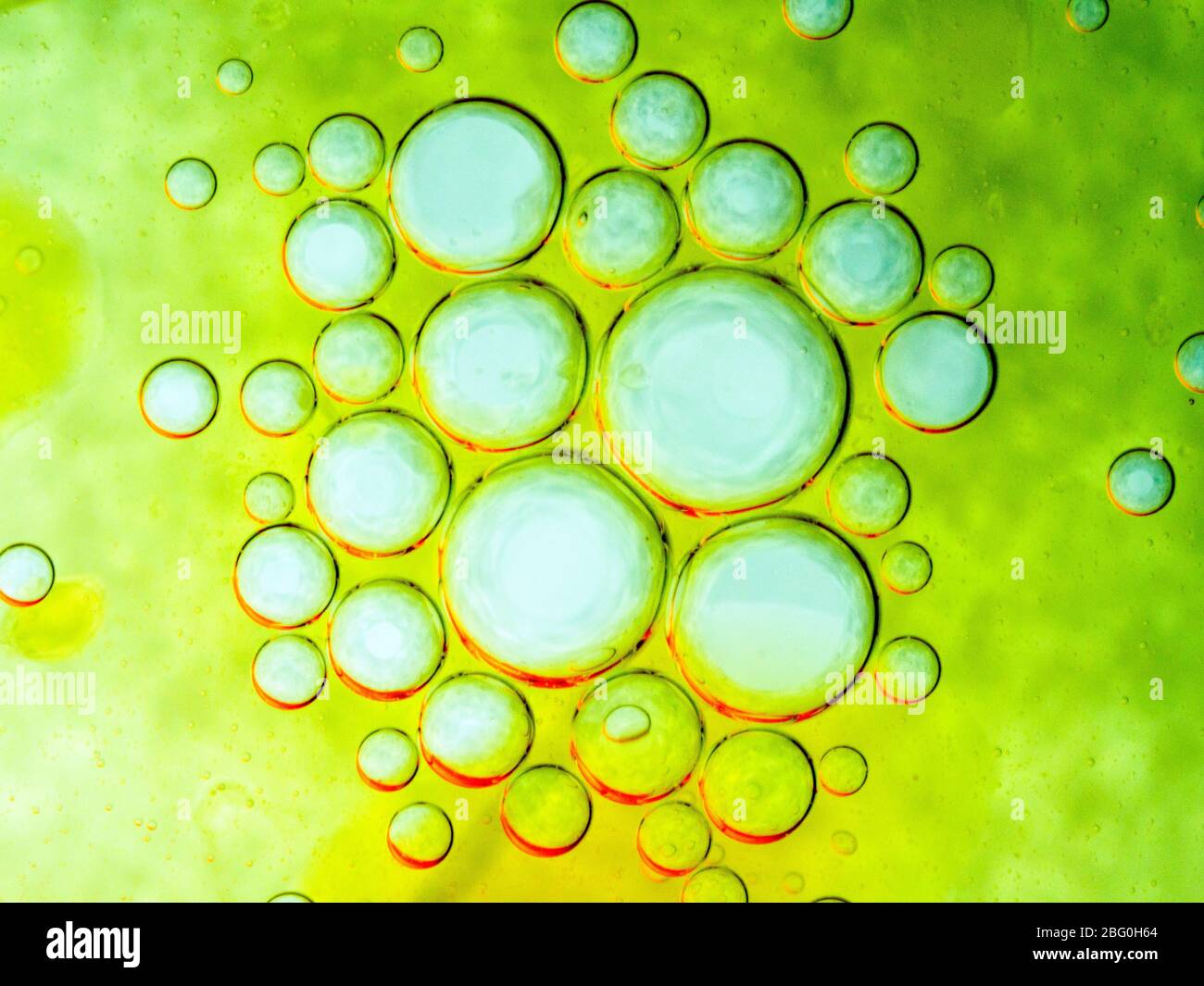 Oil bubbles in water Stock Photo - Alamy