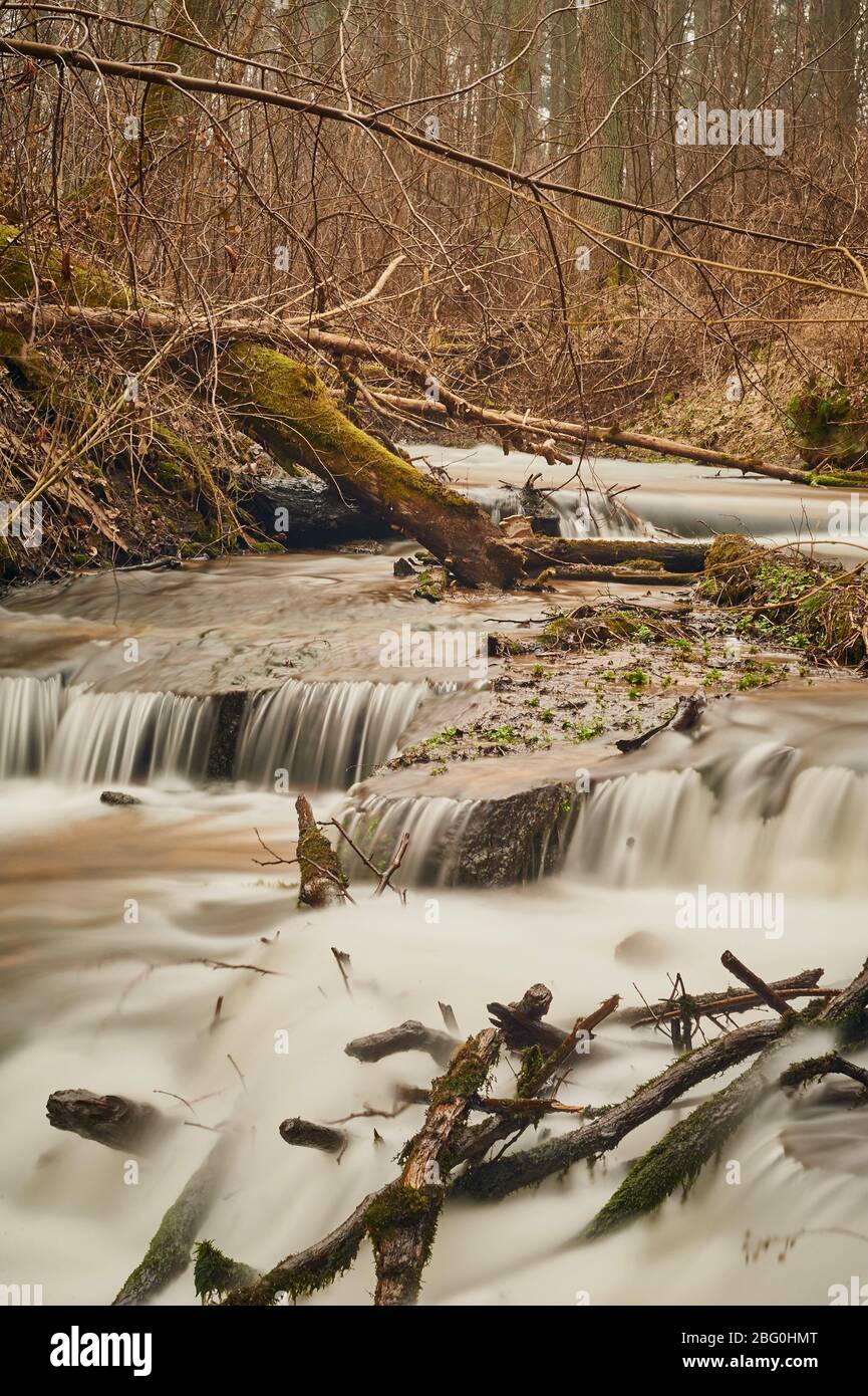 wild rapid stream flowing through the forest Stock Photo - Alamy