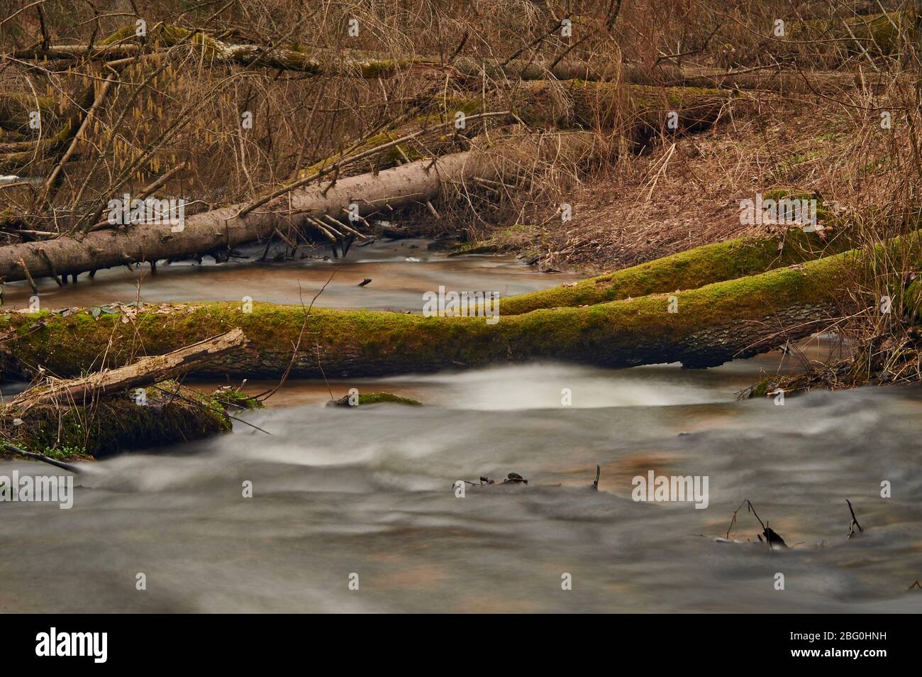 wild rapid stream flowing through the forest Stock Photo - Alamy