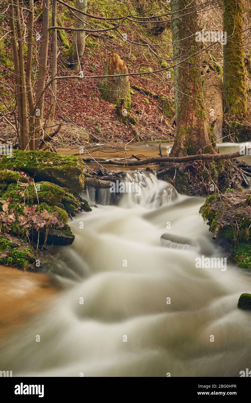 wild rapid stream flowing through the forest Stock Photo - Alamy