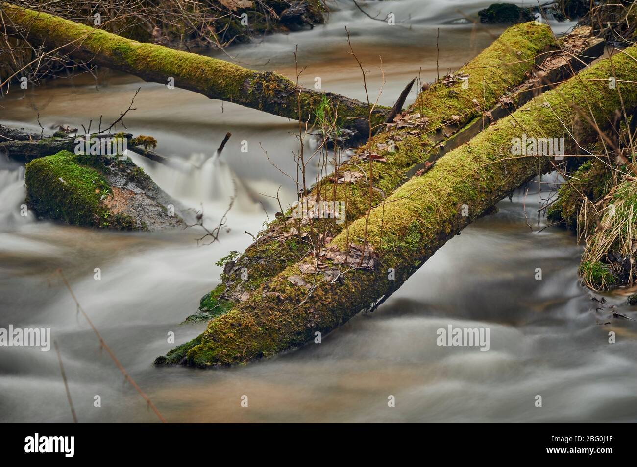 wild rapid stream flowing through the forest Stock Photo - Alamy