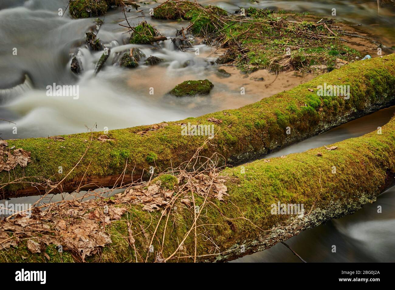 wild rapid stream flowing through the forest Stock Photo - Alamy