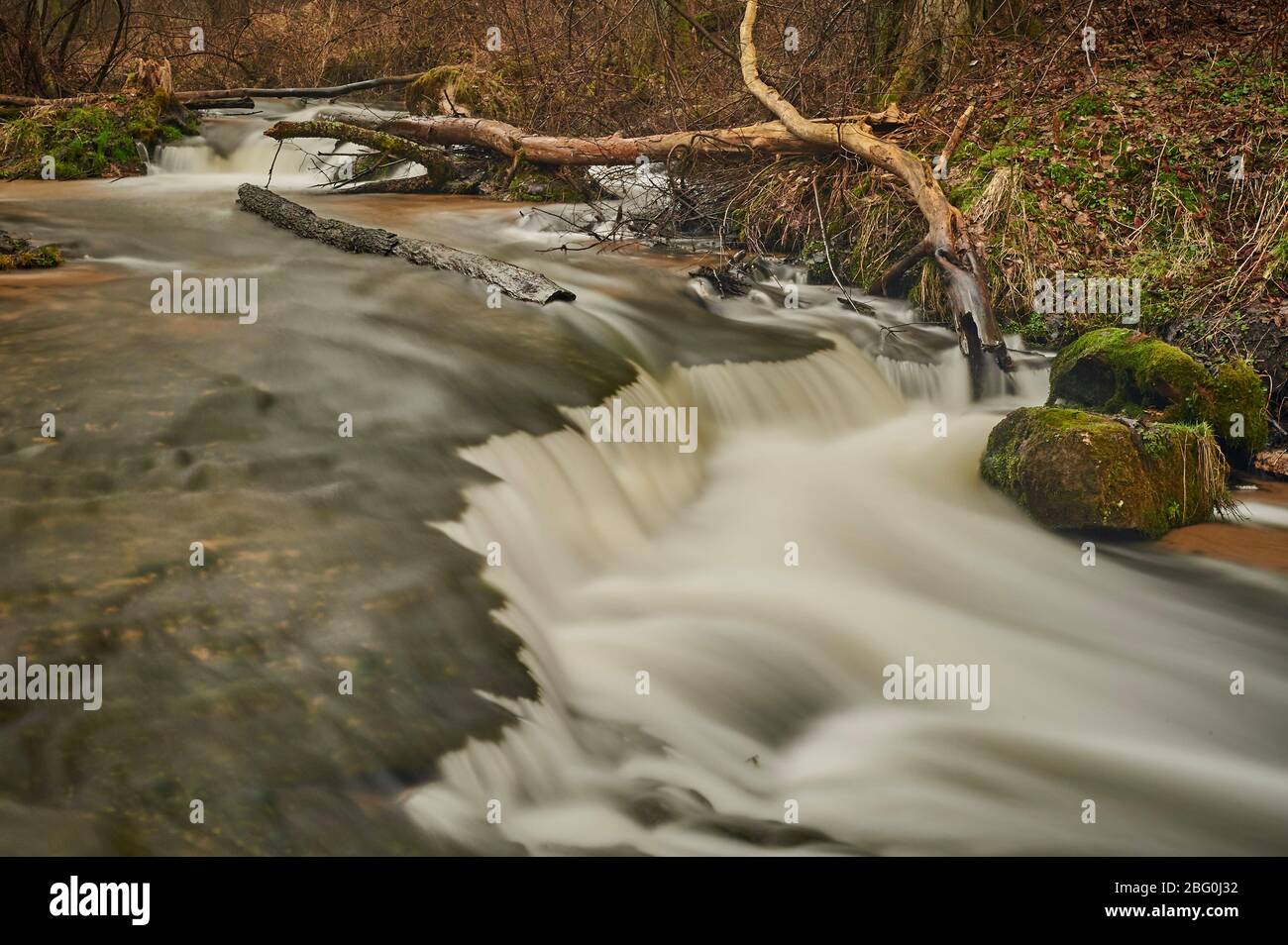 wild rapid stream flowing through the forest Stock Photo - Alamy