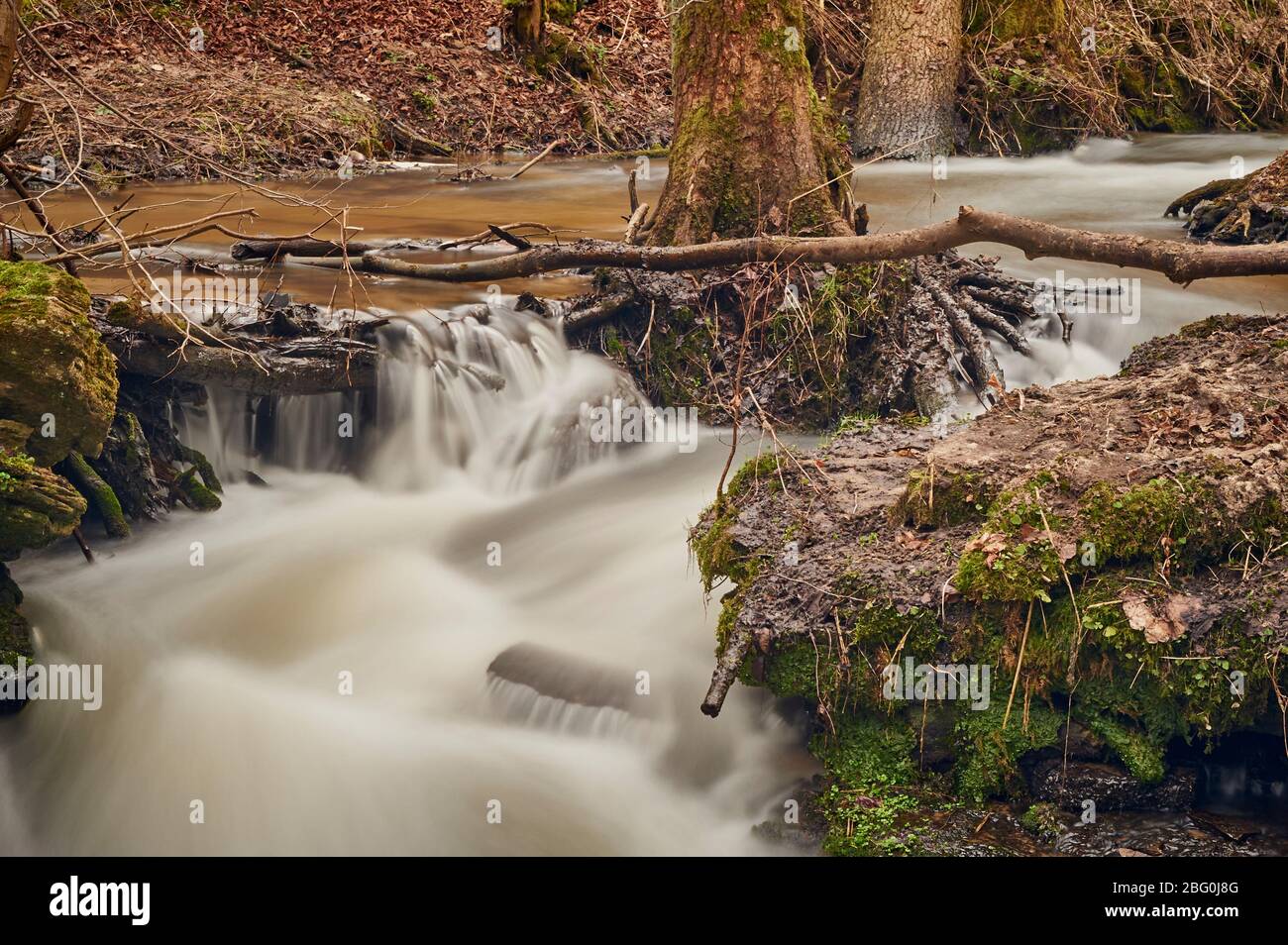 wild rapid stream flowing through the forest Stock Photo - Alamy