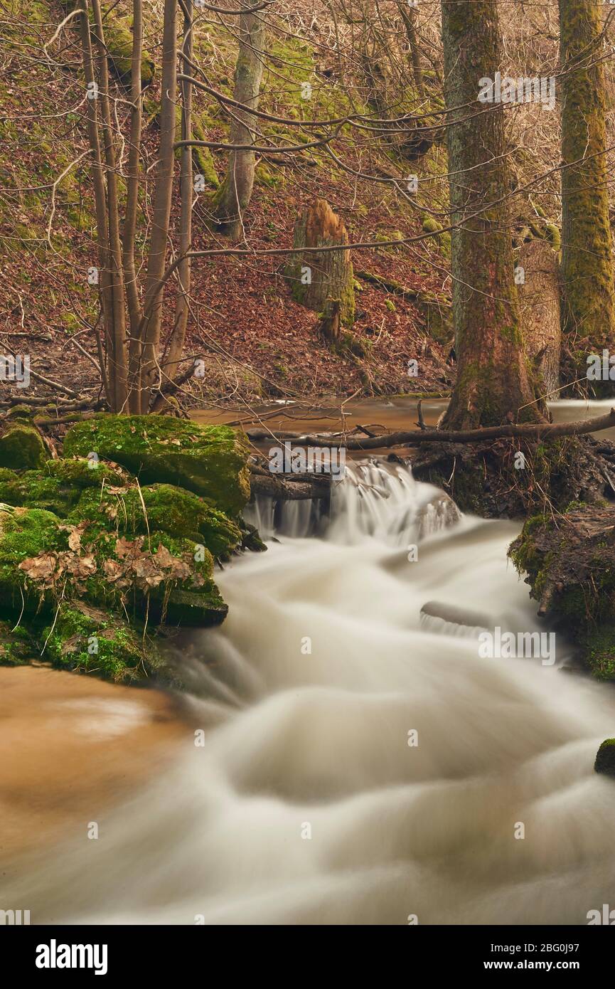 wild rapid stream flowing through the forest Stock Photo - Alamy