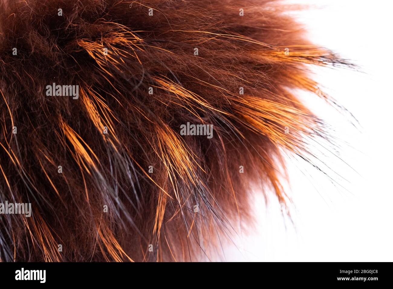 Brown fur clothing isolated on white background Stock Photo - Alamy