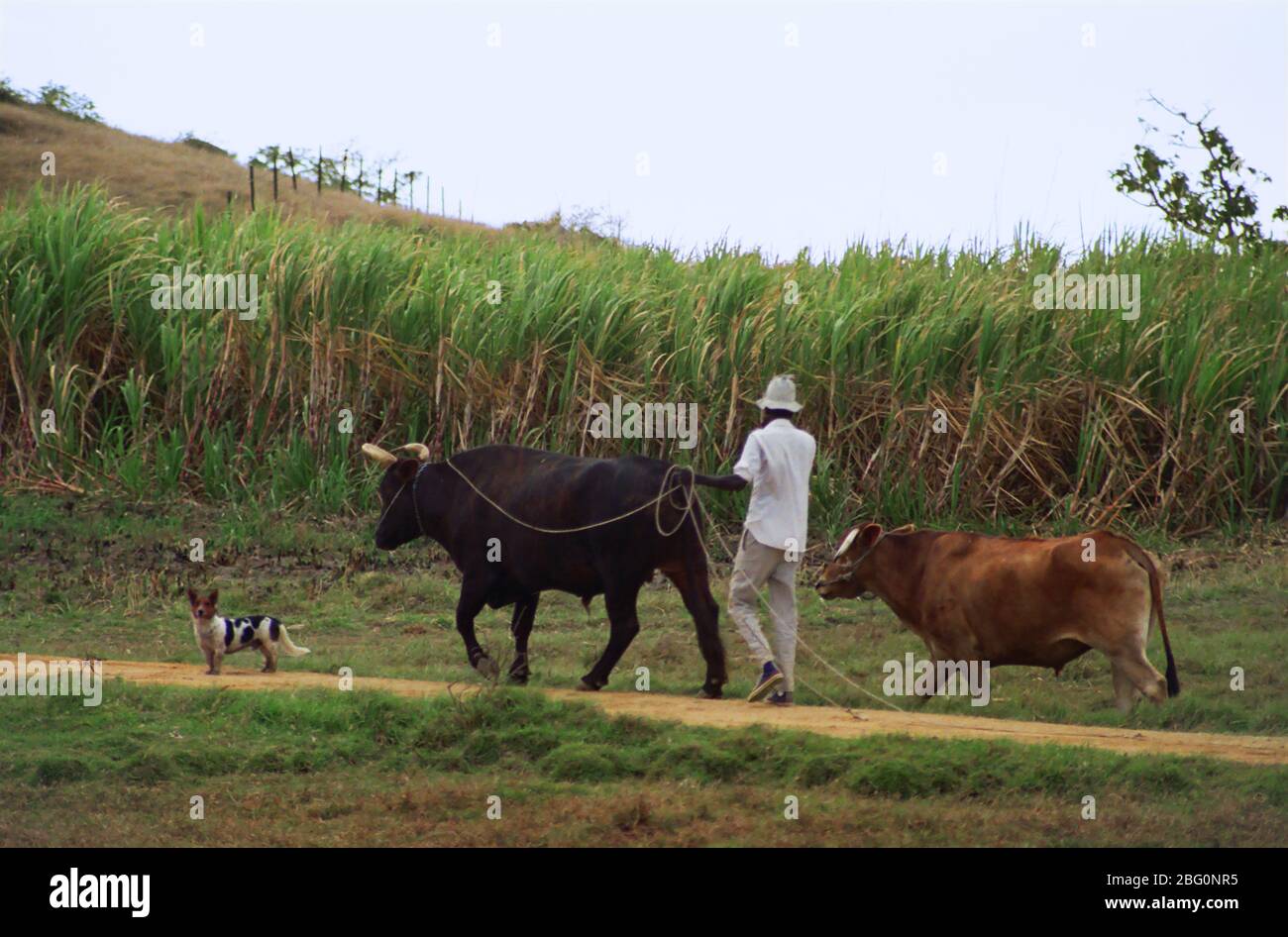 Momi bay fiji hi-res stock photography and images - Alamy