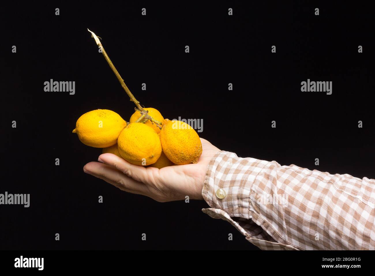 Lemon is a fruit with yellow skin, from the citrus family, with an ...