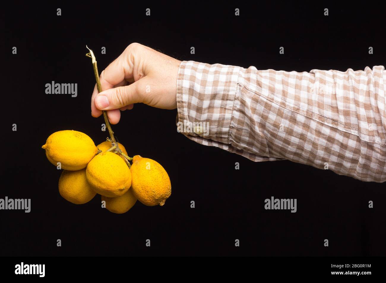 Lemon is a fruit with yellow skin, from the citrus family, with an ...