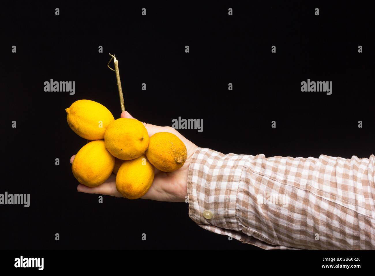 Lemon is a fruit with yellow skin, from the citrus family, with an ...