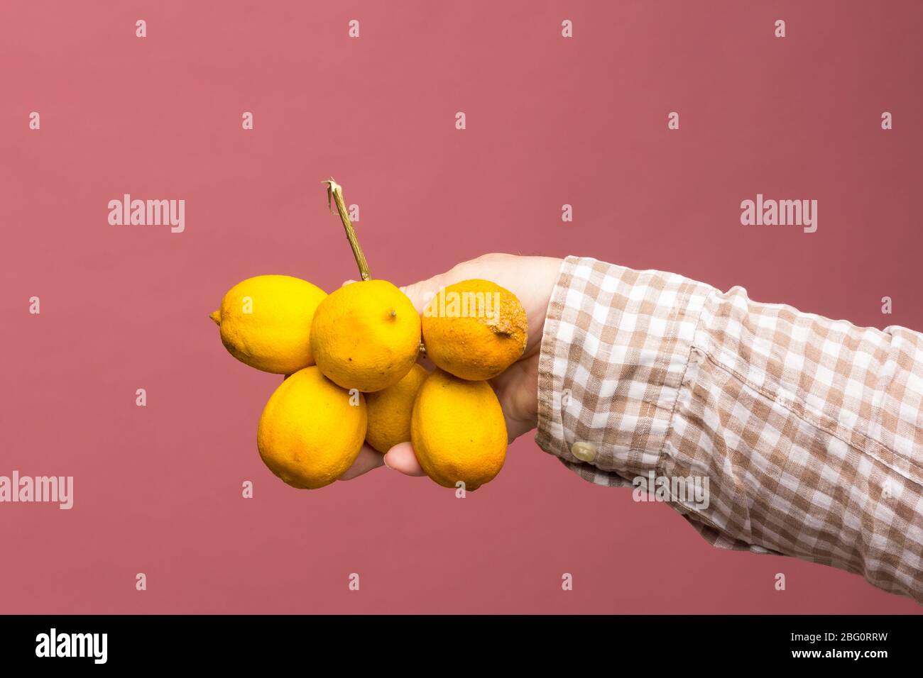 Lemon is a fruit with yellow skin, from the citrus family, with an ...