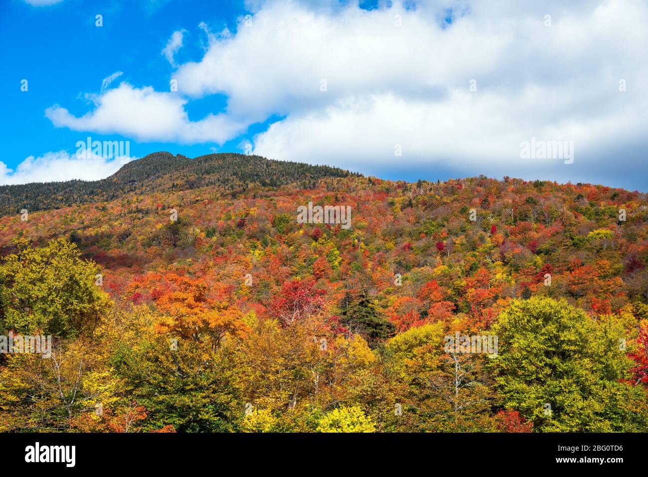 Mountain covered in a deciduous forest at the peak of fall foliage on a ...