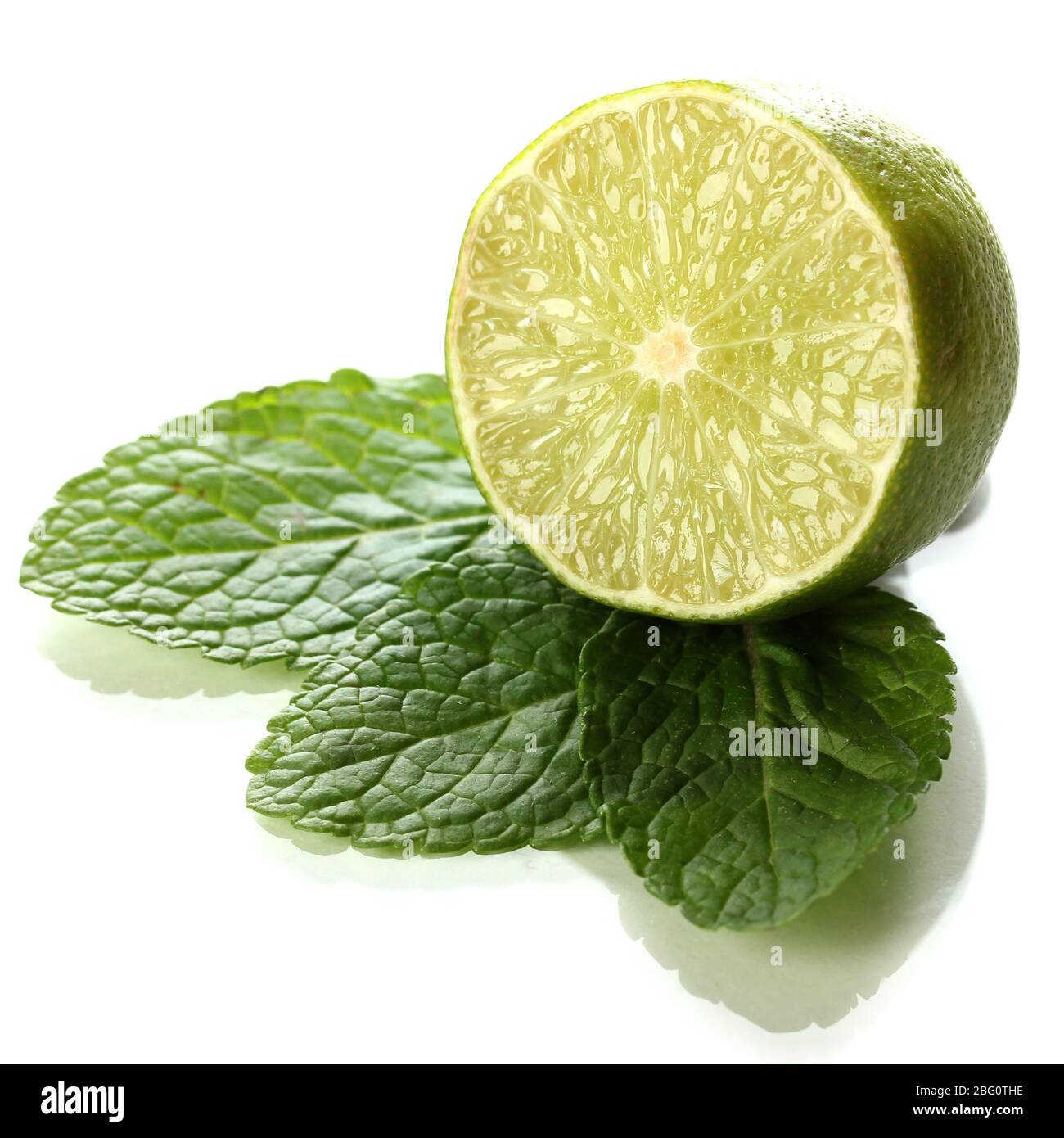 Lime mint plant Cut Out Stock Images & Pictures - Alamy