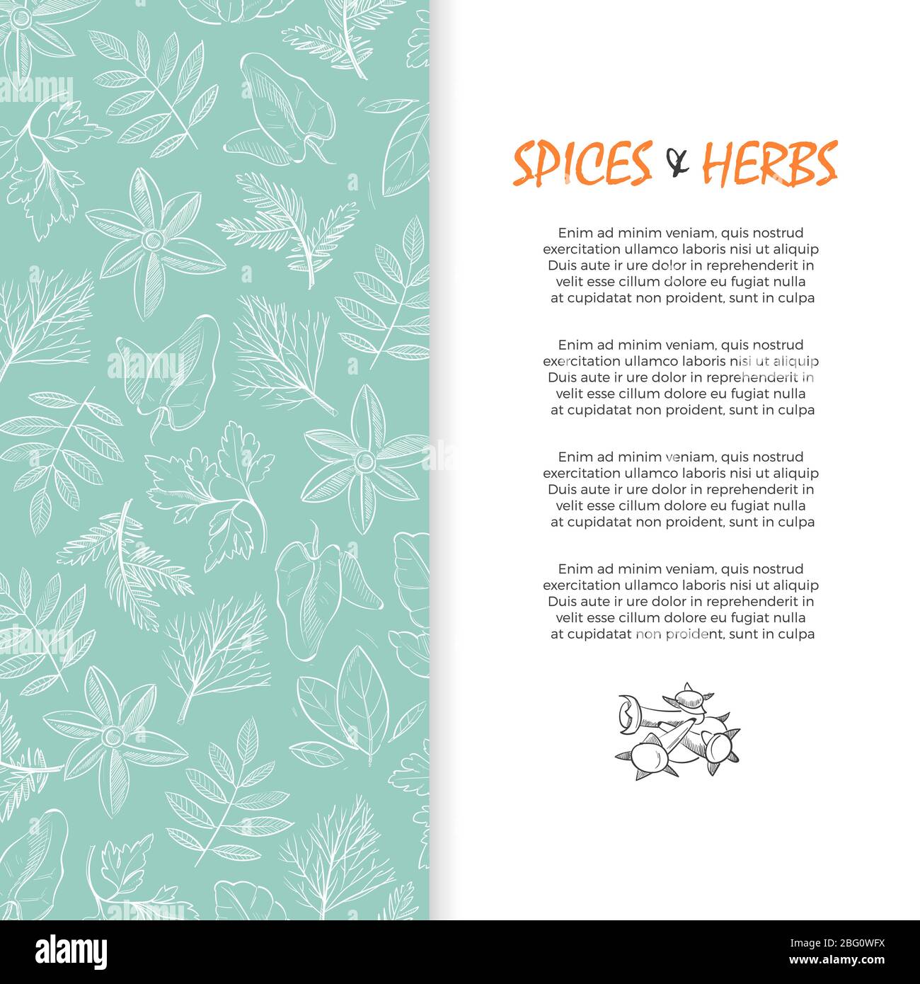 Spice and herbs banner - hand sketched culinary and medicine herbs ...
