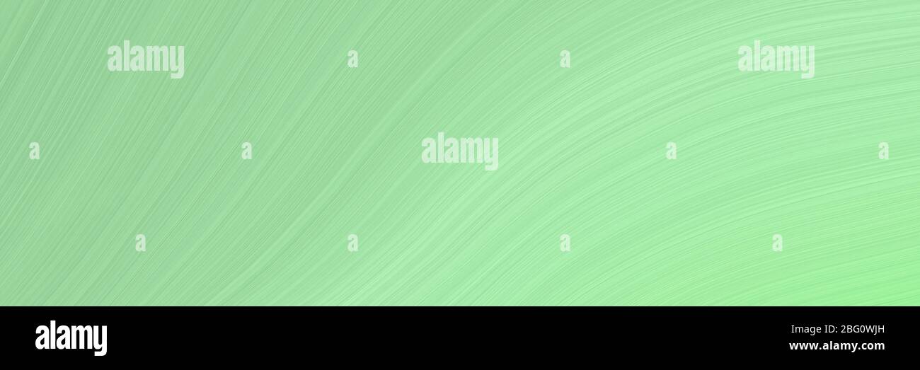 creative banner with light green, pale green and tea green color ...