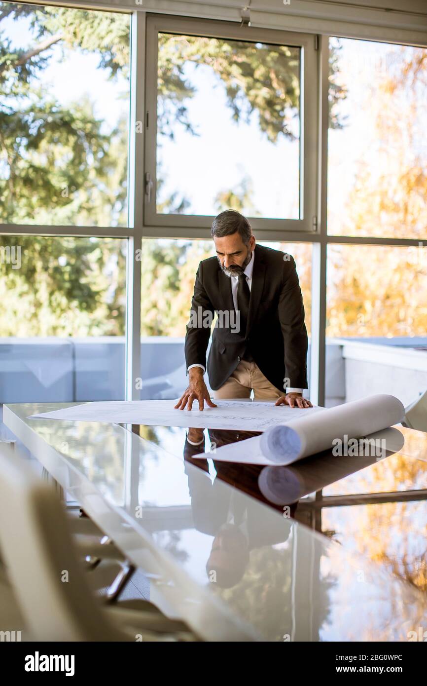 Handsome architect checking plans and blueprints in the office Stock ...