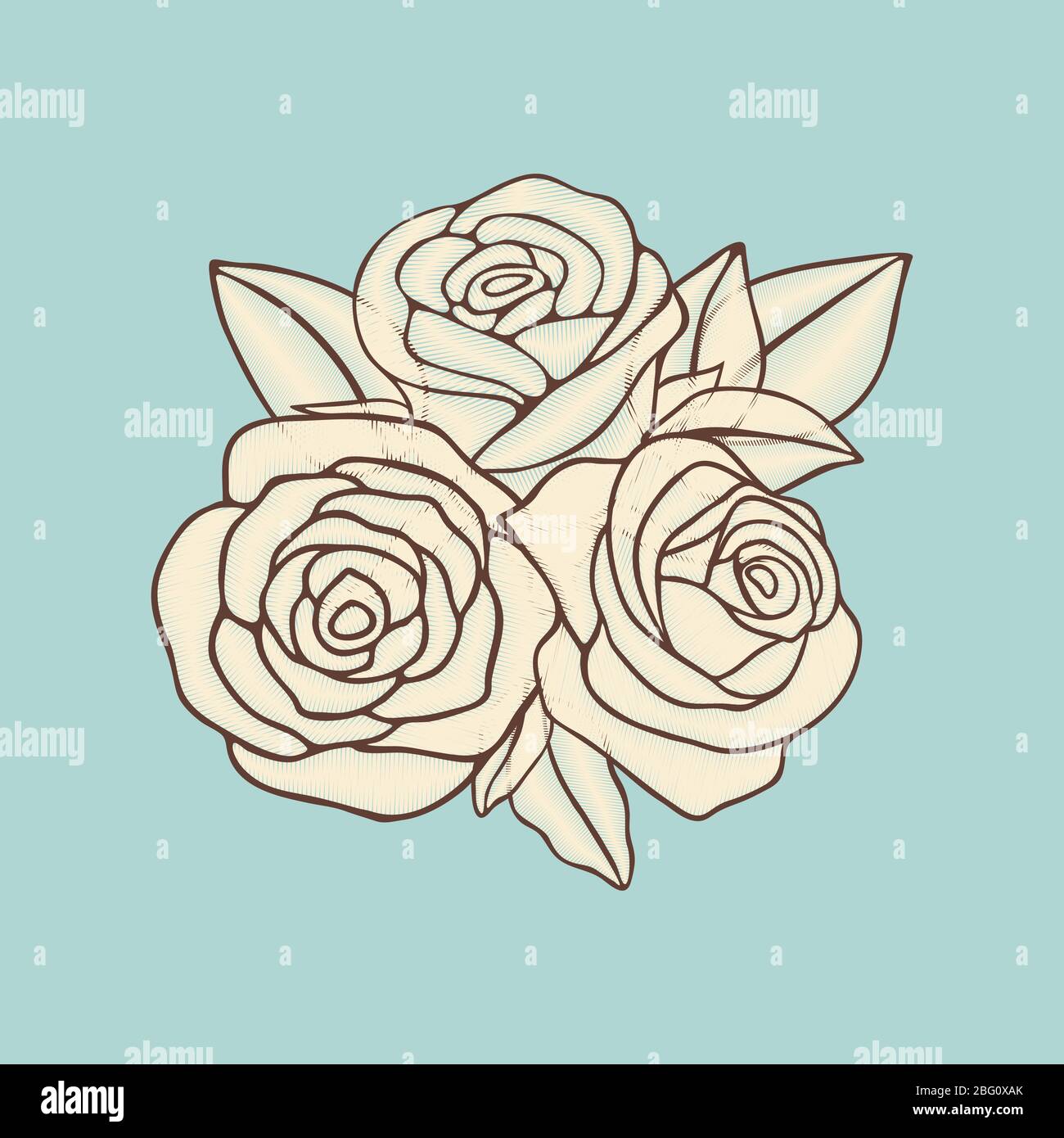 Vintage hand drawn roses patch design of set. Vector flat illustration ...
