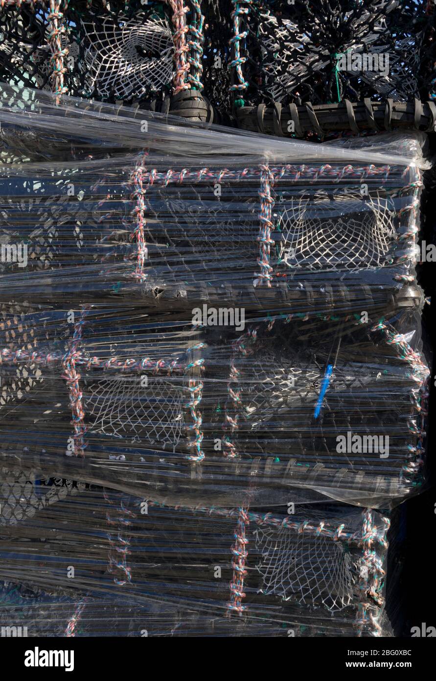 Unused cages hi-res stock photography and images - Alamy