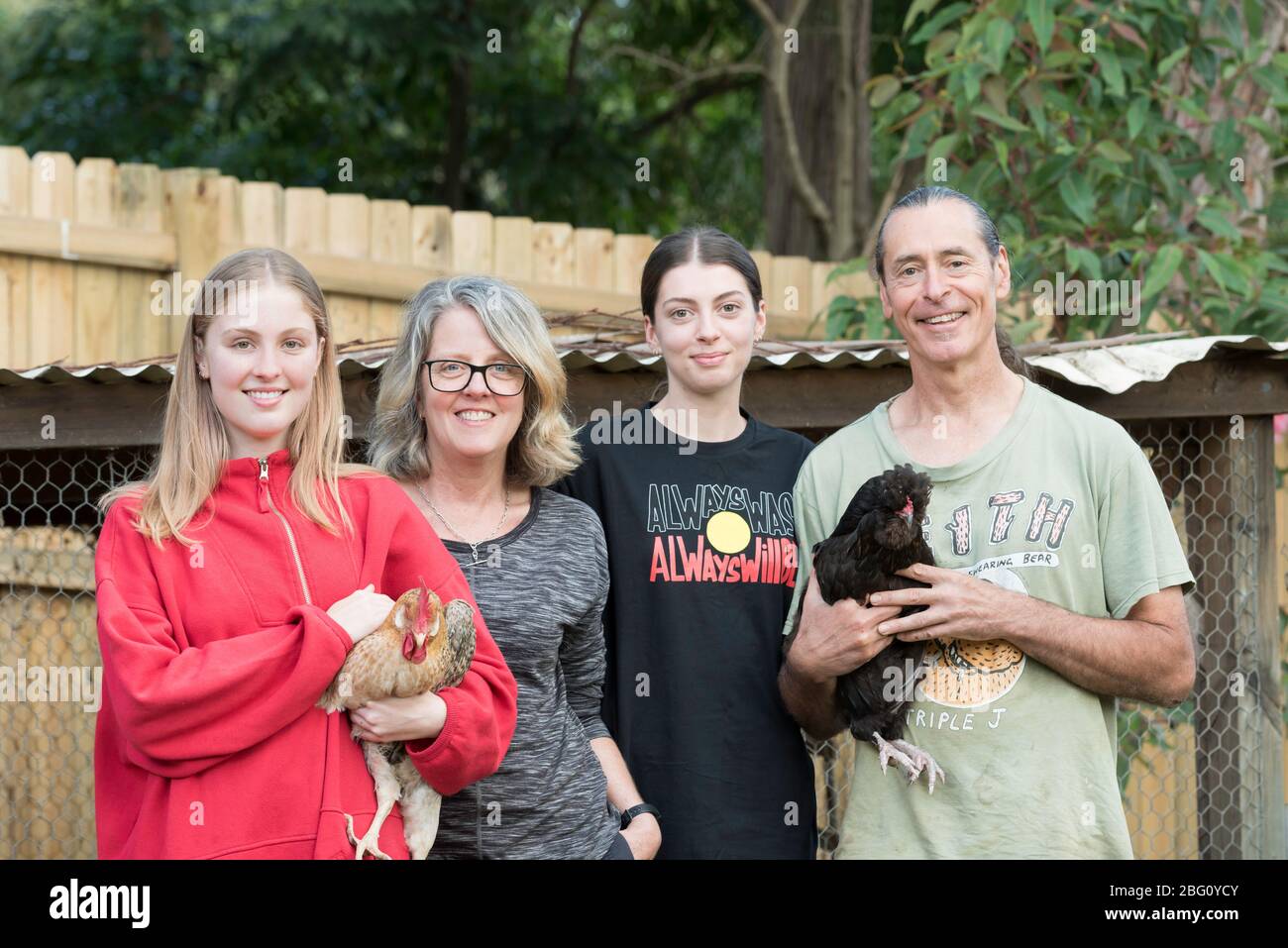 Family chickens hi-res stock photography and images - Alamy