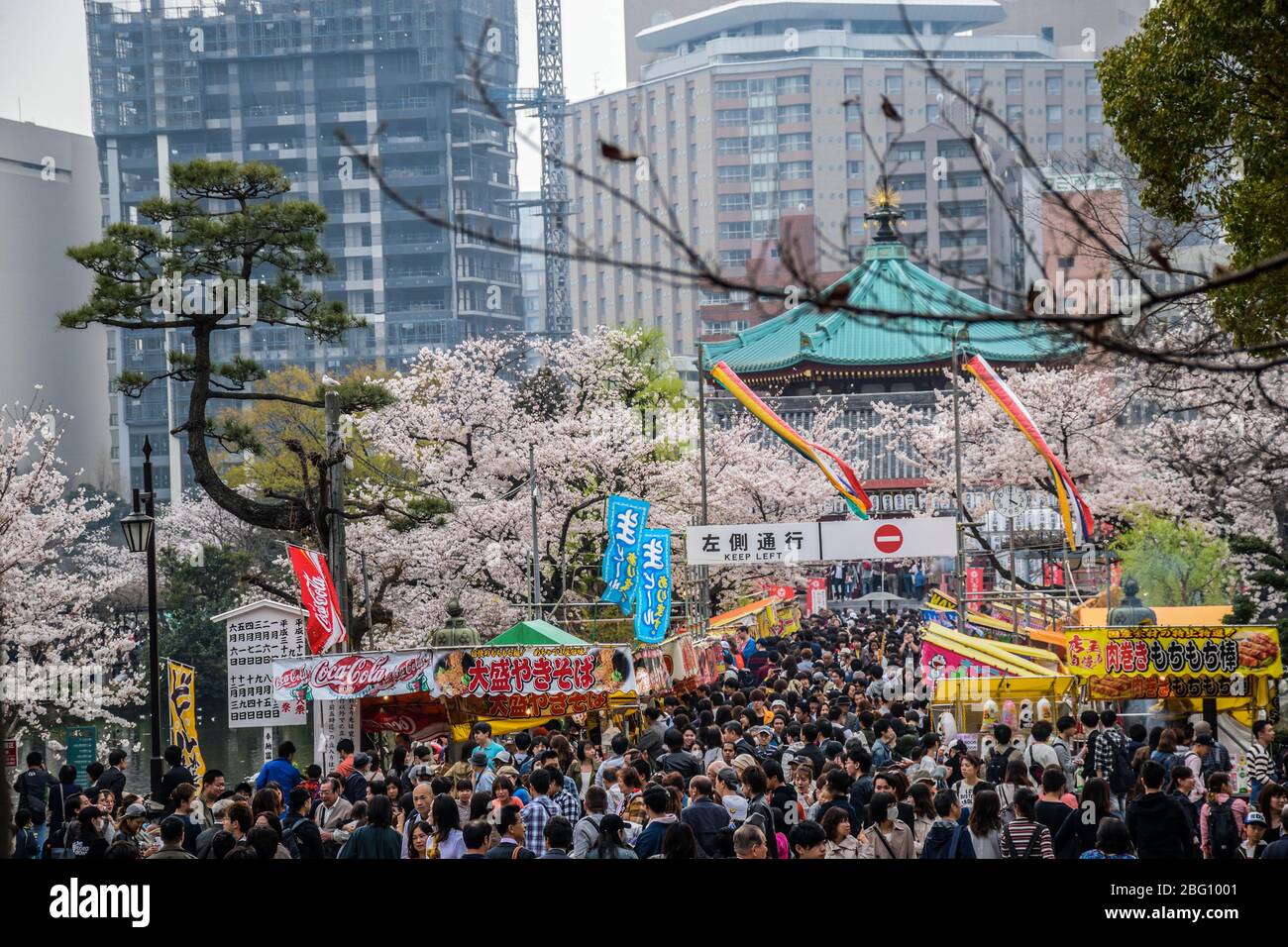 Busy streets in Tokyo during spring days under the cherry blossoms ...