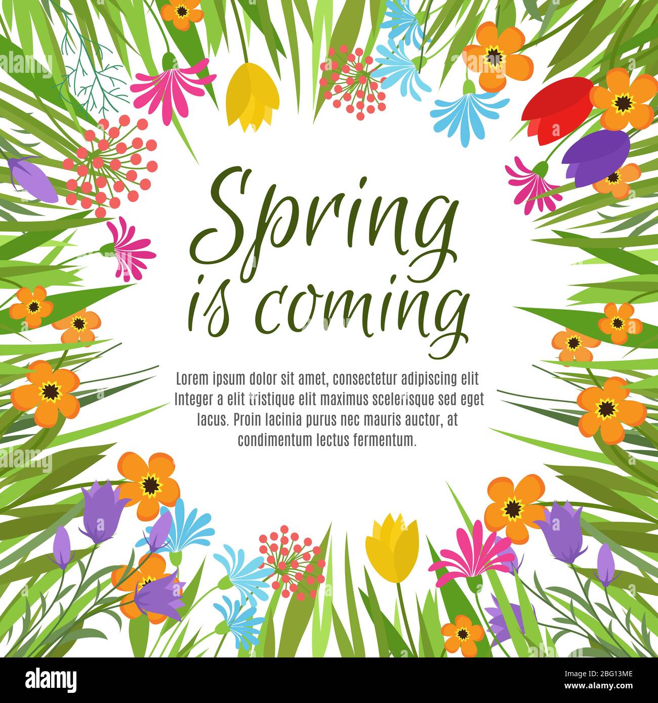 Beautiful spring vector background with early garden and forest flowers ...