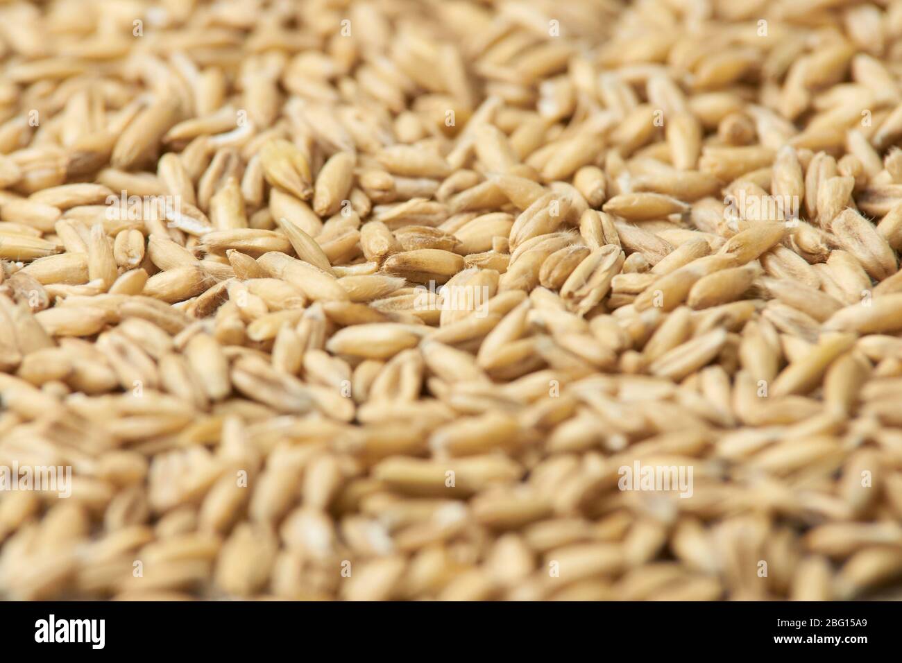 Raw porridge. Grains of cereals. Neutral light background Stock Photo ...