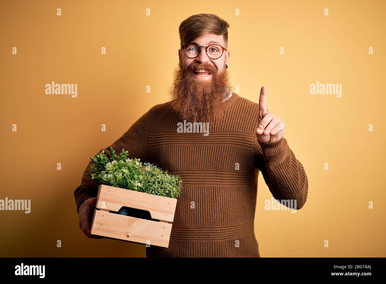 Redhead Irish Man With Beard Holding Wooden Box With Fresh Plants Over Yellow Background