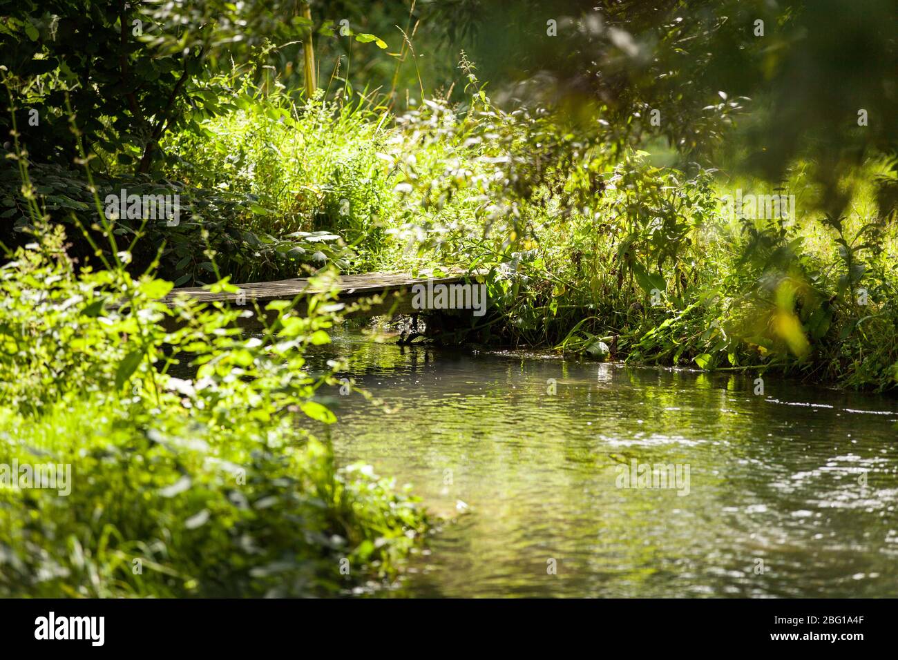 Pretty stream with path hi-res stock photography and images - Alamy