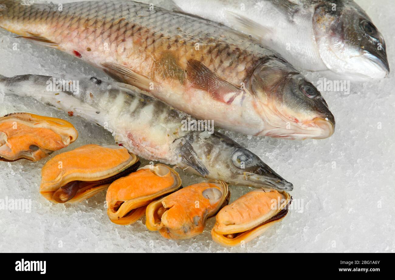 Fresh seafood on ice Stock Photo - Alamy