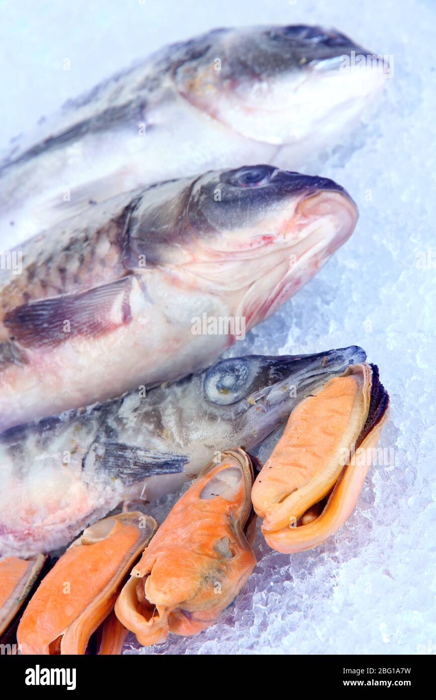 Fresh seafood on ice Stock Photo - Alamy