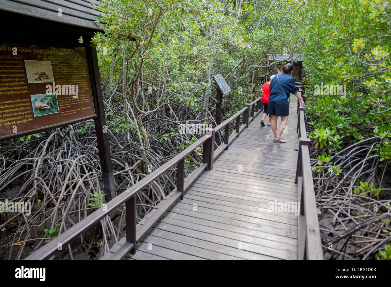 April 1,2020 - Pranburi, Thailand; Thai tourits are walking trail in ...