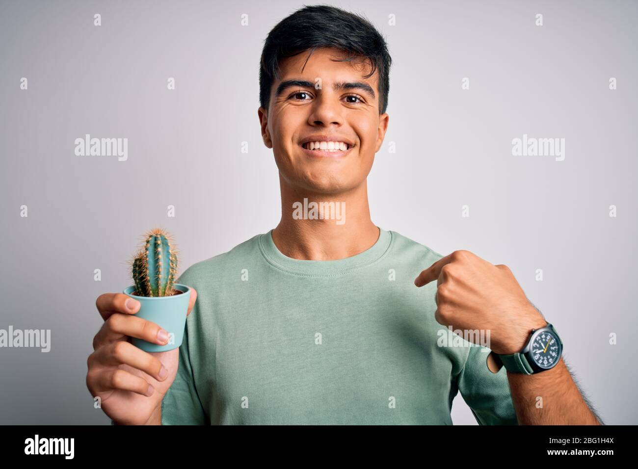 Young handsome man holding small cactus plant pot over isolated white ...