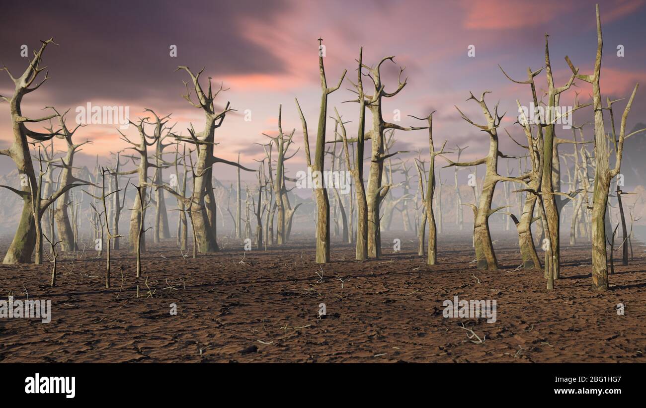 dead forest, climate change crisis Stock Photo - Alamy