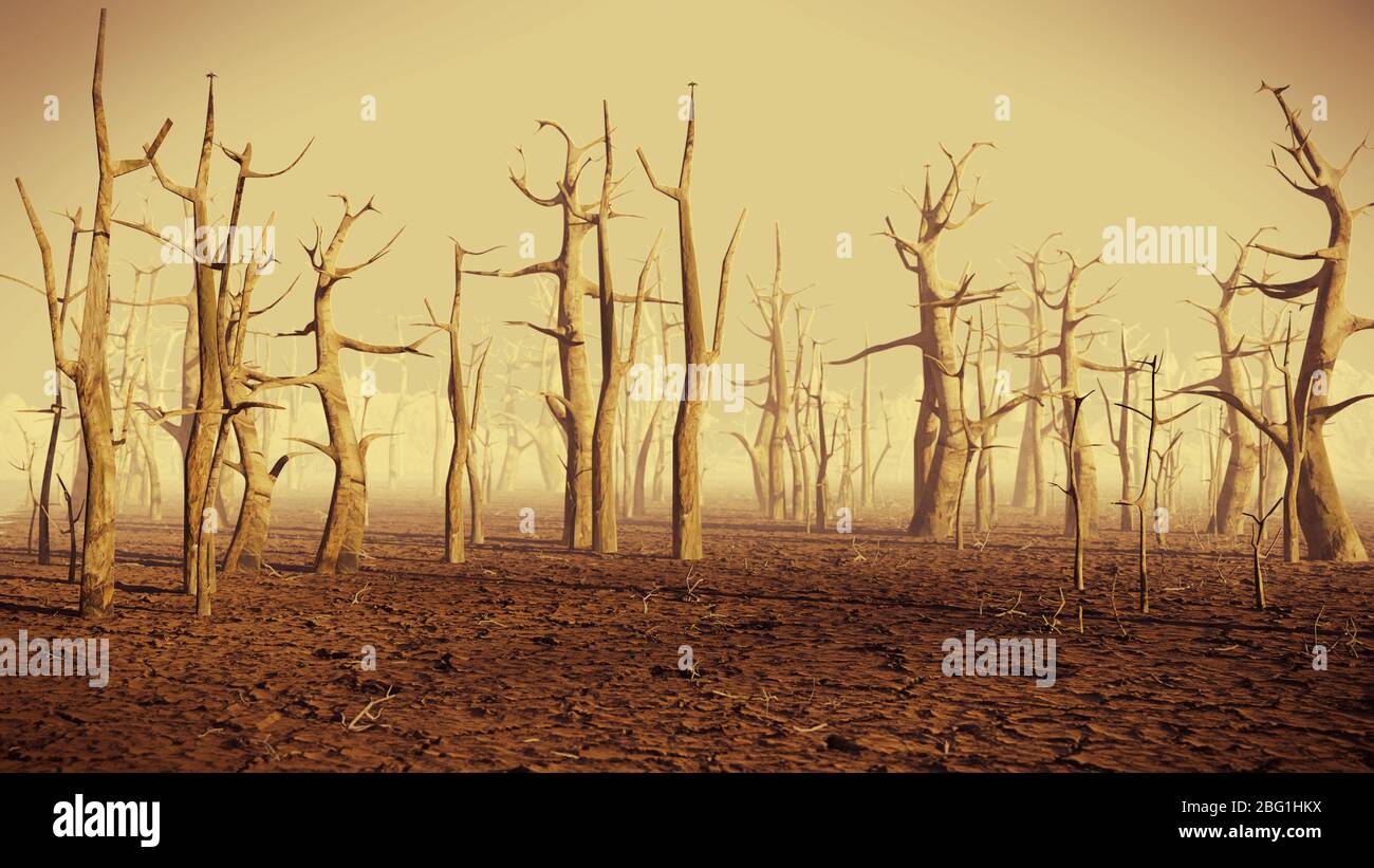 dead forest, climate change crisis landscape background Stock Photo - Alamy
