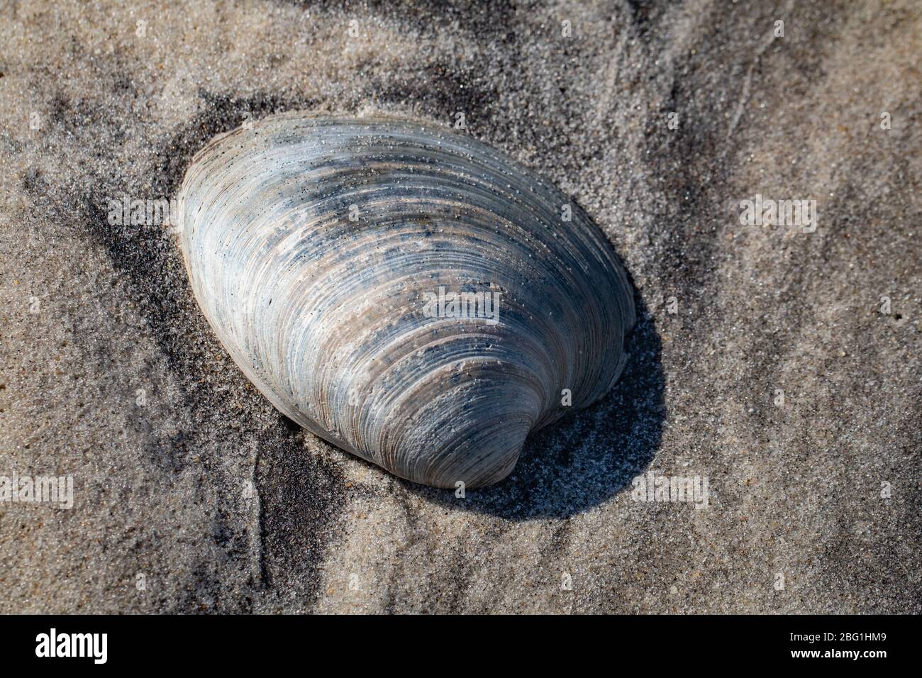 Flotsam beachcombing hi-res stock photography and images - Alamy