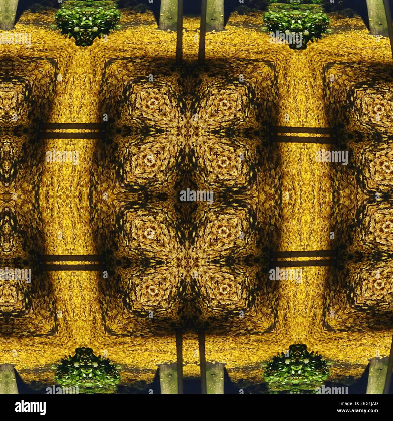 Abstract digital edited color photography, designed for use as a ...