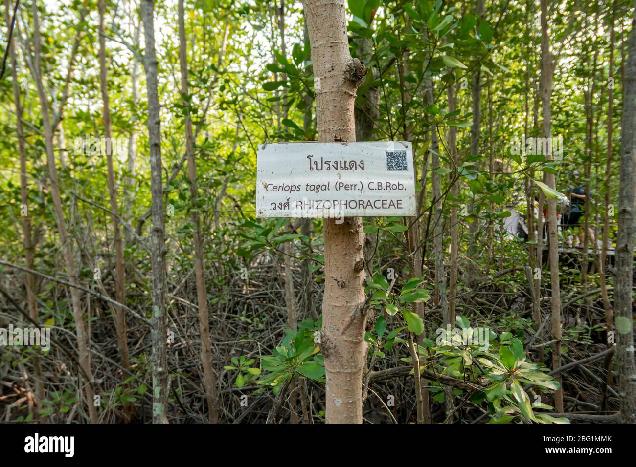April 1,2020 - Pranburi, Thailand; The Pranburi forest park sign at ...