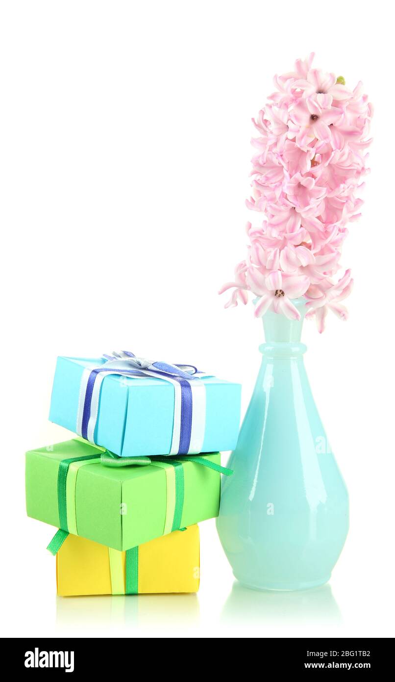 Beautiful hyacinth in vase and beautiful gifts, isolated on white Stock ...