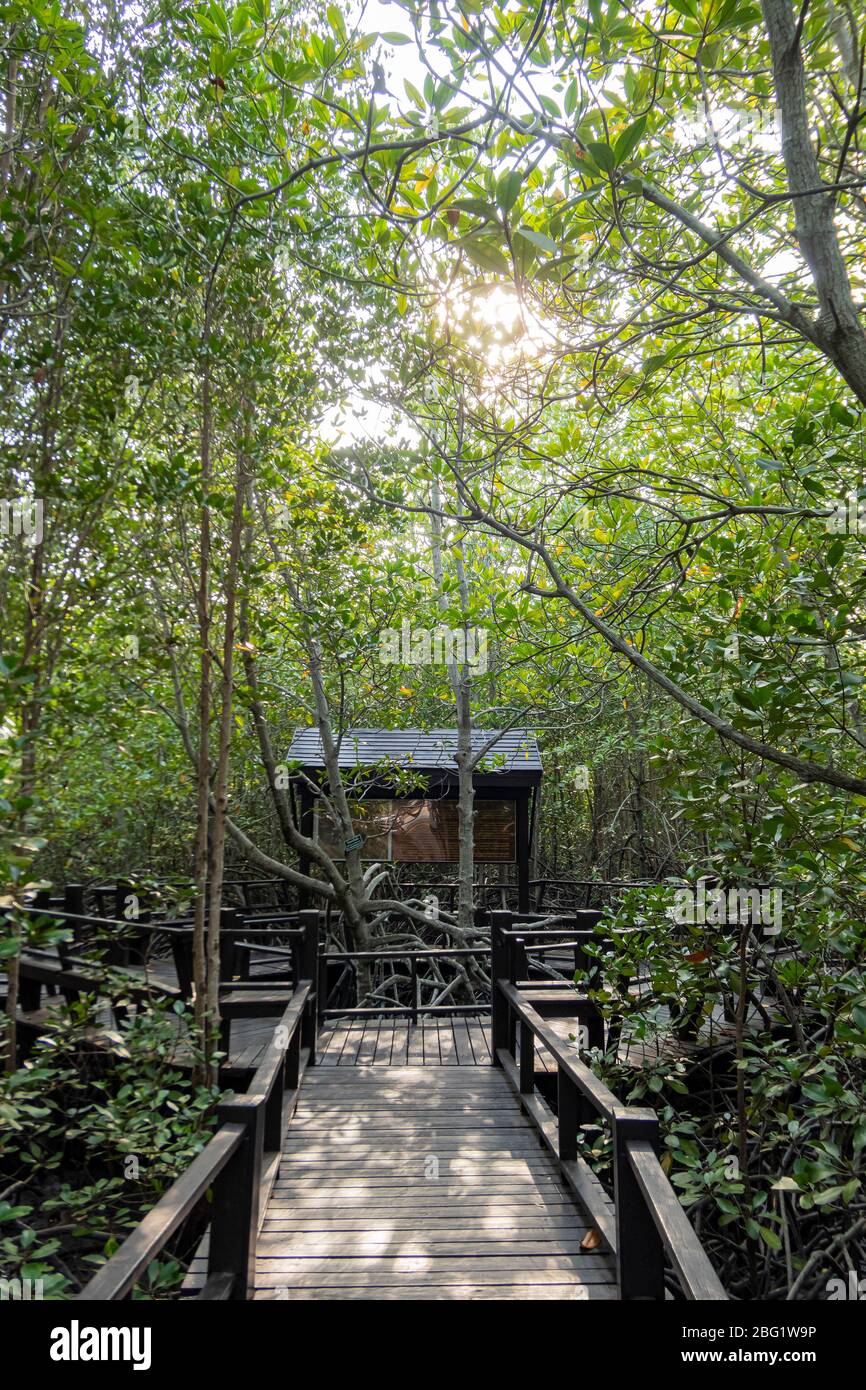 Hua hin thailand adventure park hi-res stock photography and images - Alamy