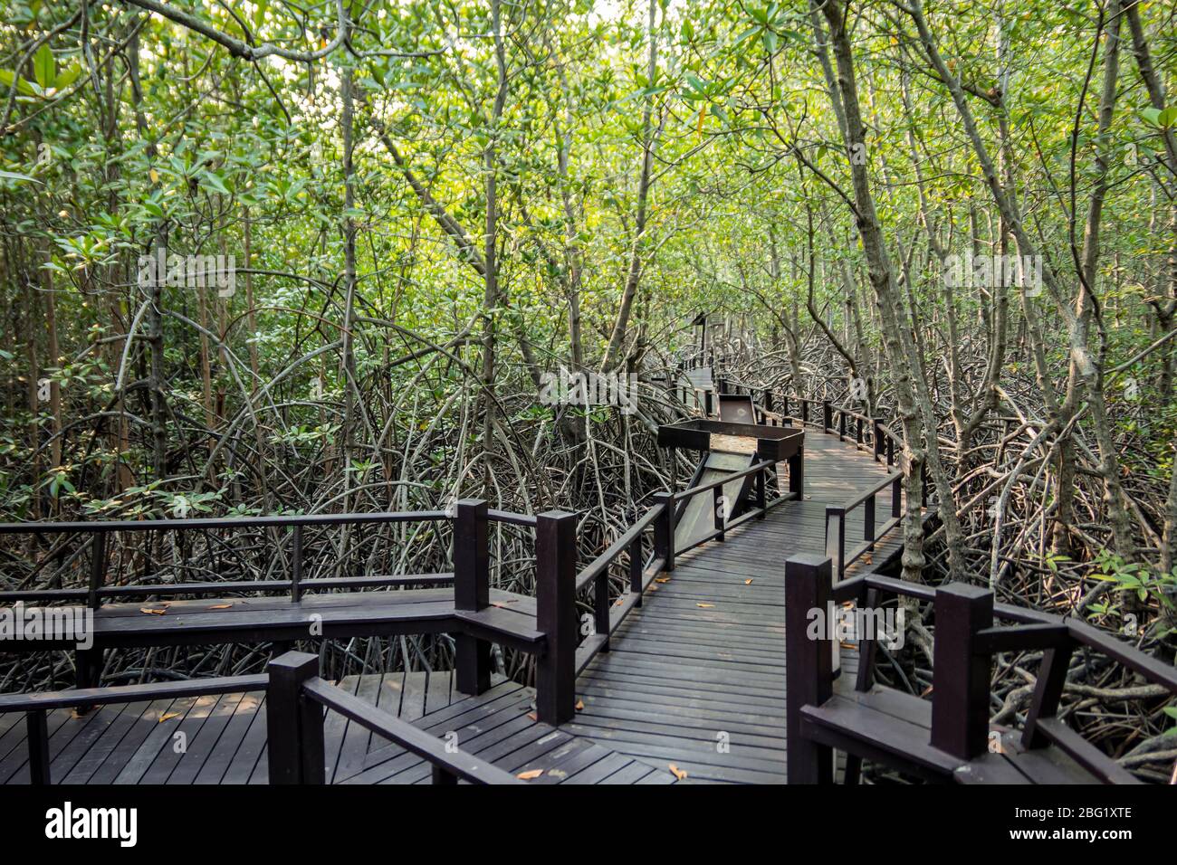 Hua hin thailand adventure park hi-res stock photography and images - Alamy