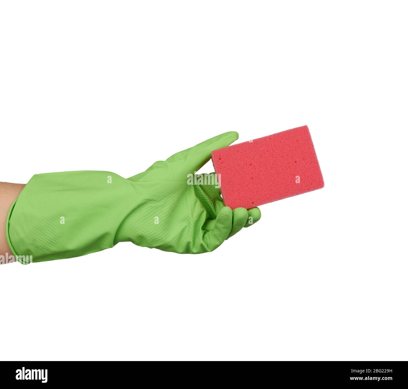 hand holds red sponge for washing dishes, part of body is isolated on ...