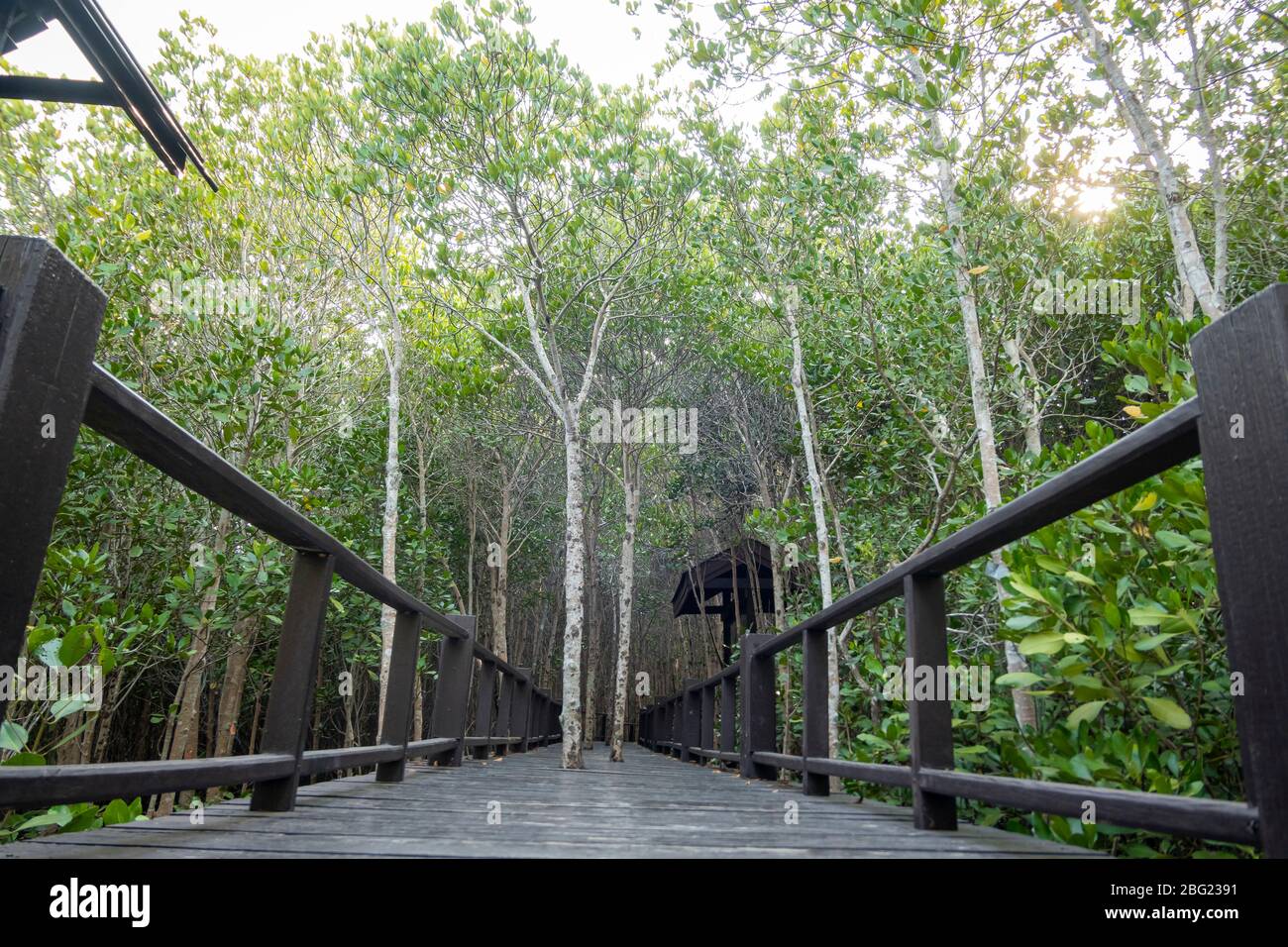 Hua hin thailand adventure park hi-res stock photography and images - Alamy