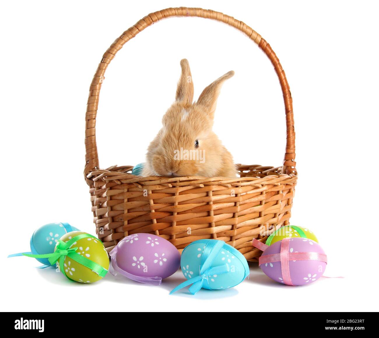 Fluffy foxy rabbit in basket with Easter eggs isolated on white Stock ...