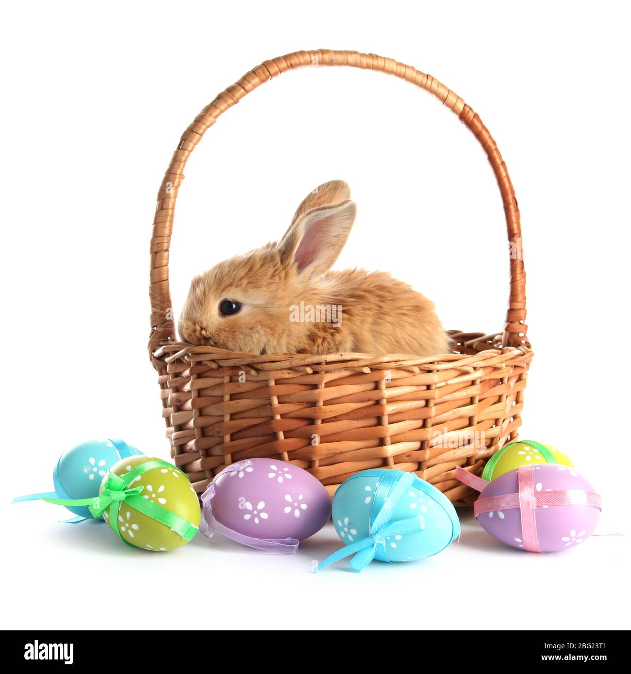 Fluffy foxy rabbit in basket with Easter eggs isolated on white Stock ...