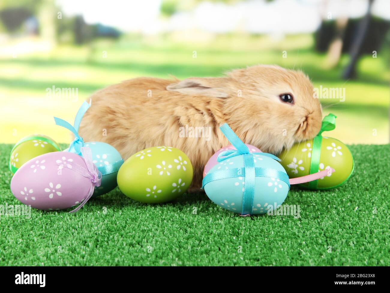 Fluffy foxy rabbit on grass with Easter eggs in park Stock Photo - Alamy