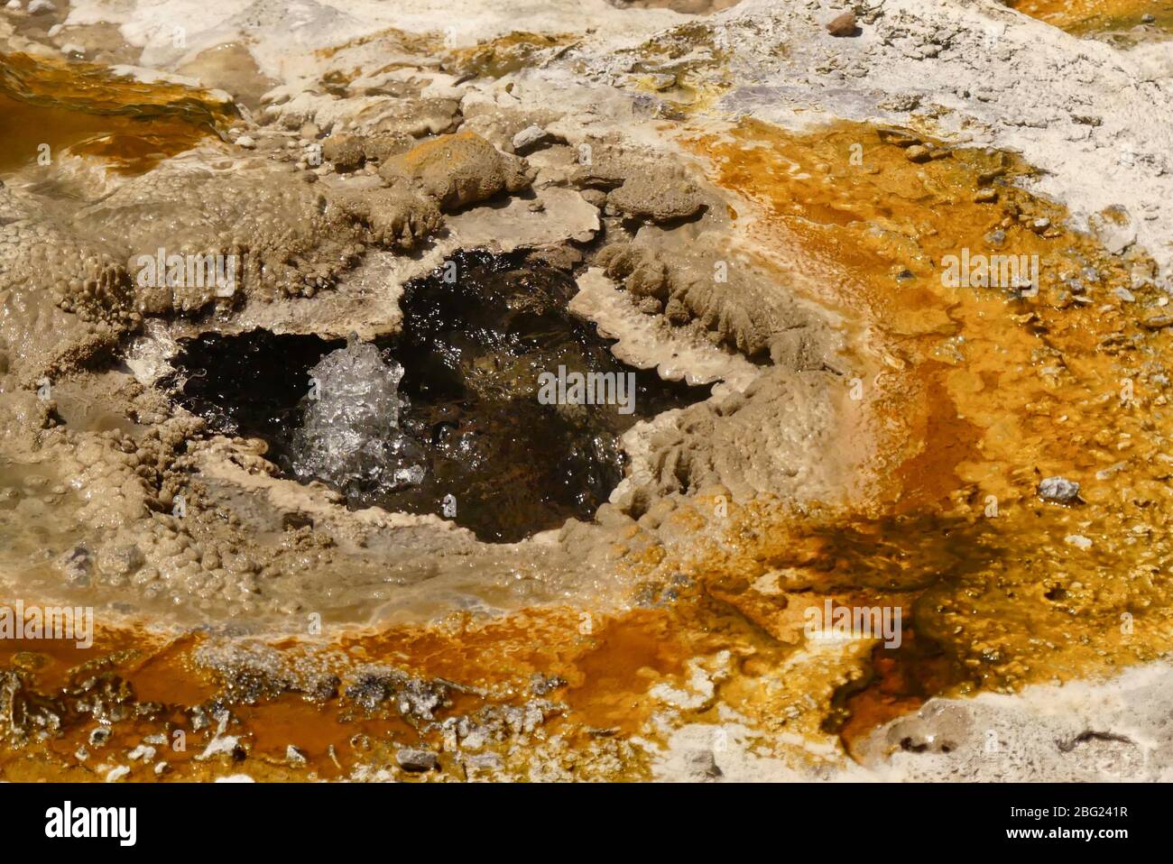 Geothermal activity new zealand hi-res stock photography and images - Alamy