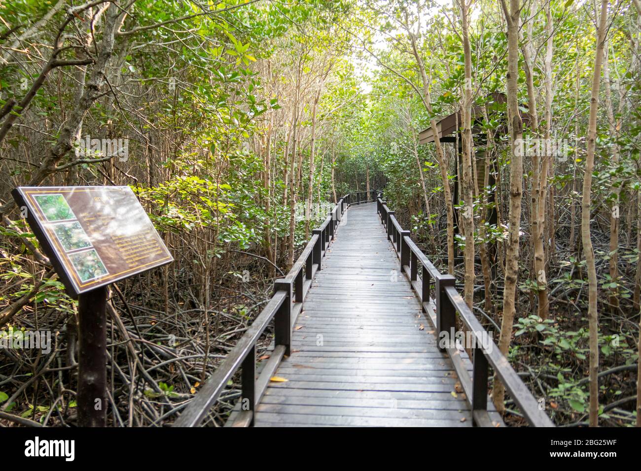Hua hin thailand adventure park hi-res stock photography and images - Alamy