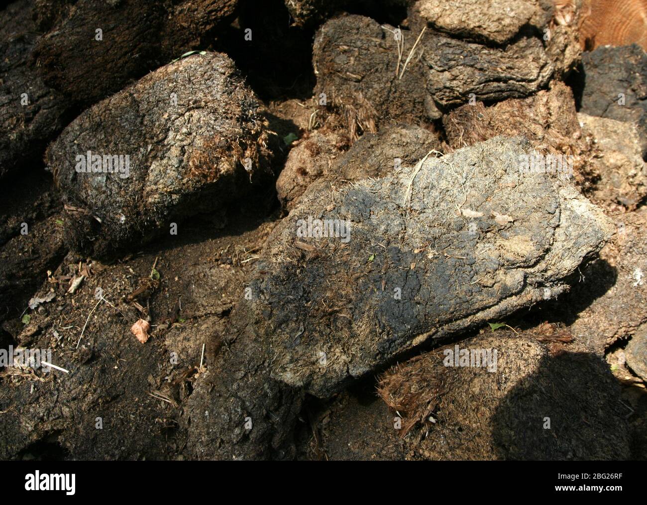 Dried peat hi-res stock photography and images - Alamy