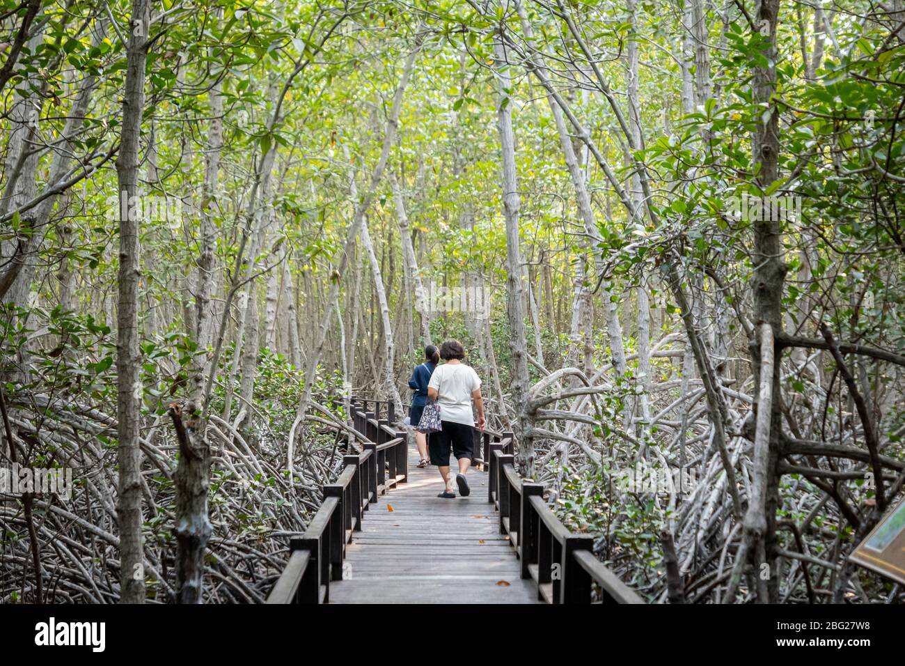 April 1,2020 - Pranburi, Thailand; Visitors are walking on the trail to ...
